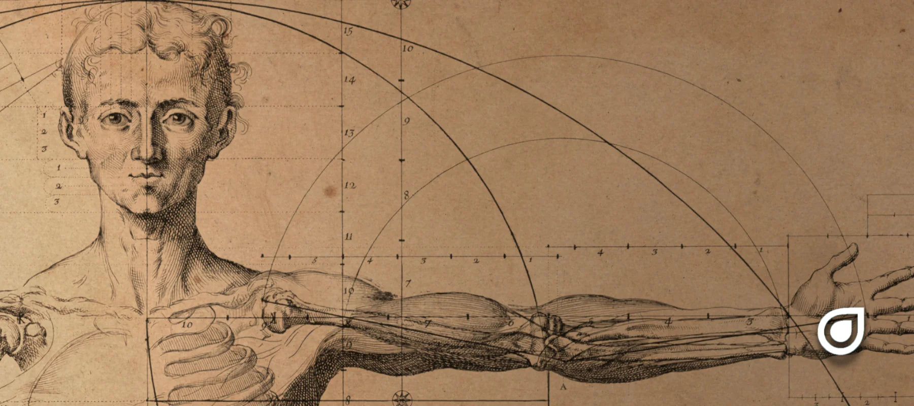 Unlock the Secrets of Water & Its Vital Roles with(in) Optimal Human H ...