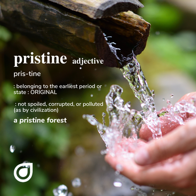 The Science Behind The PristineHydro® Water Revival System™