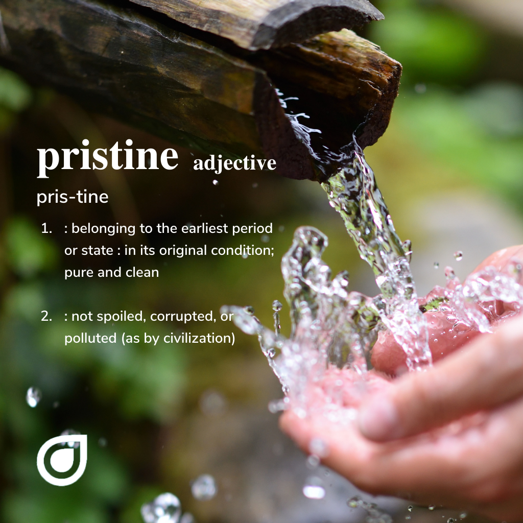 The Science Behind The PristineHydro® Water Revival System™